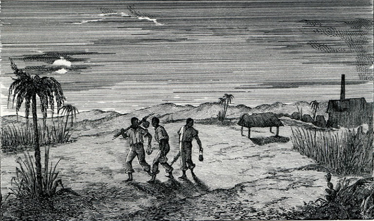 La résistance des esclaves à l’île Bourbon – La Réunion | Société de ...