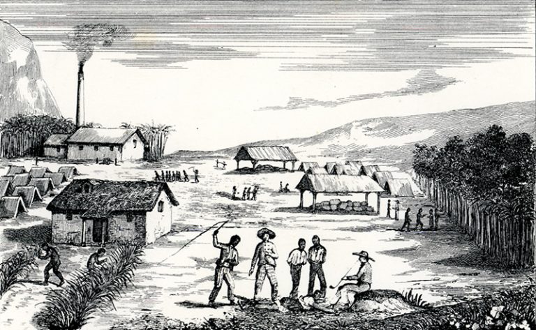 The status of slaves within a repressive judicial system | Société de ...